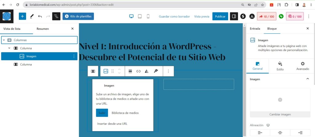 Nivel 1: Introducción a WordPress - Descubre el Potencial de tu Sitio ...